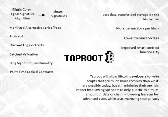 Taproot Name Assets Drive Lightning Network Capabilities - BitcoinLightning.com